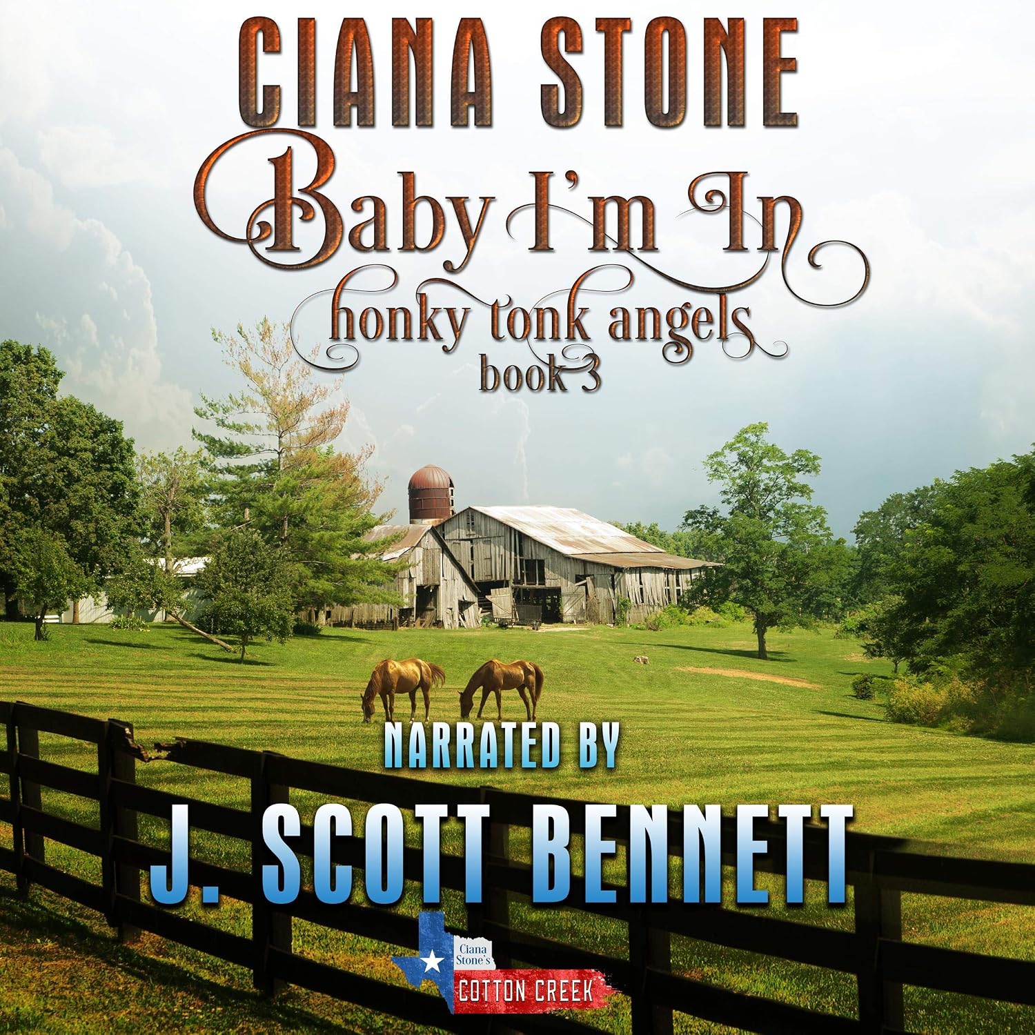 Amazon.com: Baby I'm In: Honky Tonk Angels, Book 3 (Audible Audio ...