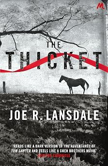 The Thicket: Amazon.co.uk: R. Lansdale, Joe: 9781444736922: Books