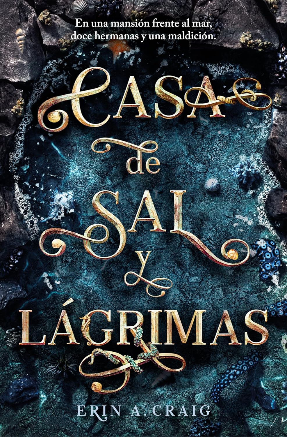 Amazon.com: Casa de sal y lágrimas / House of Salt and Sorrows ...