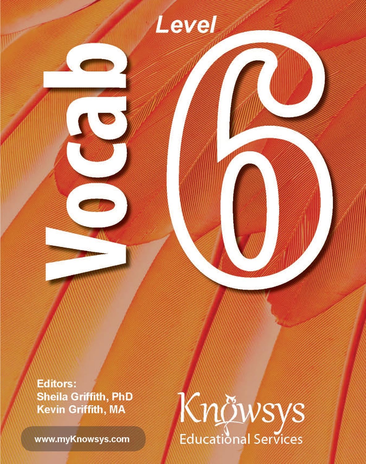 Knowsys Level 6 Vocabulary Flashcards (Knowsys Vocabulary Builder ...