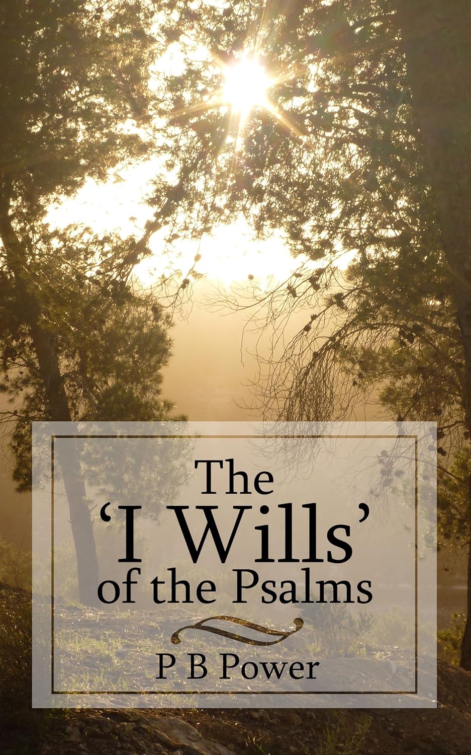 The 'I Wills' of the Psalms - Kindle edition by Power, Philip Bennett ...