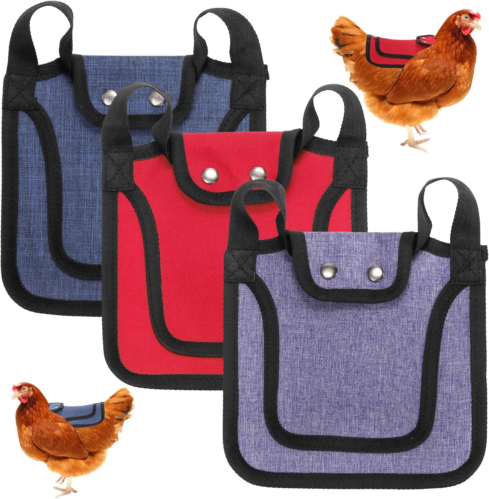 Amazon.com : COCLILY Chicken Saddles for Hens for Protection, 3 PCS Hen ...