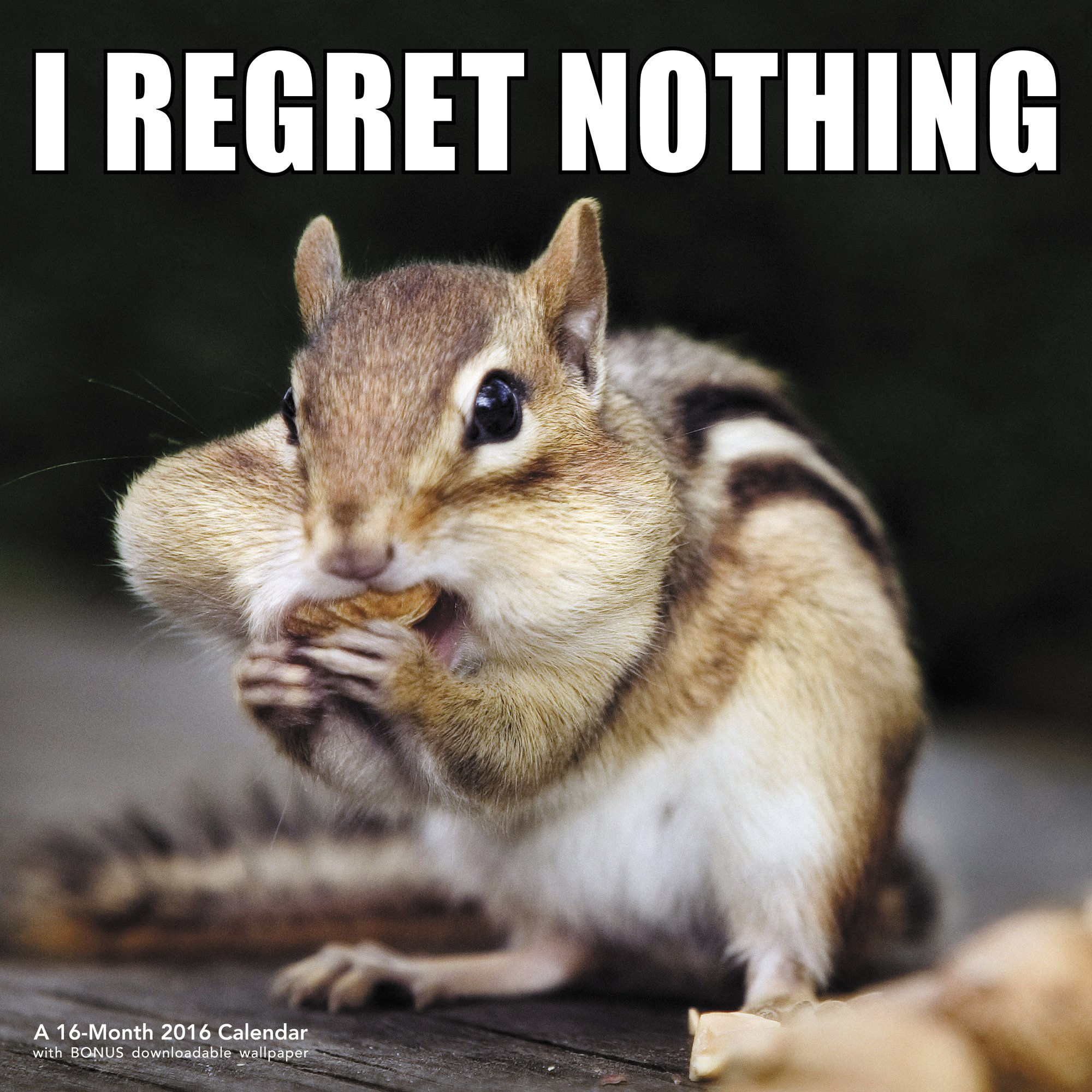 Animal Eating Memes