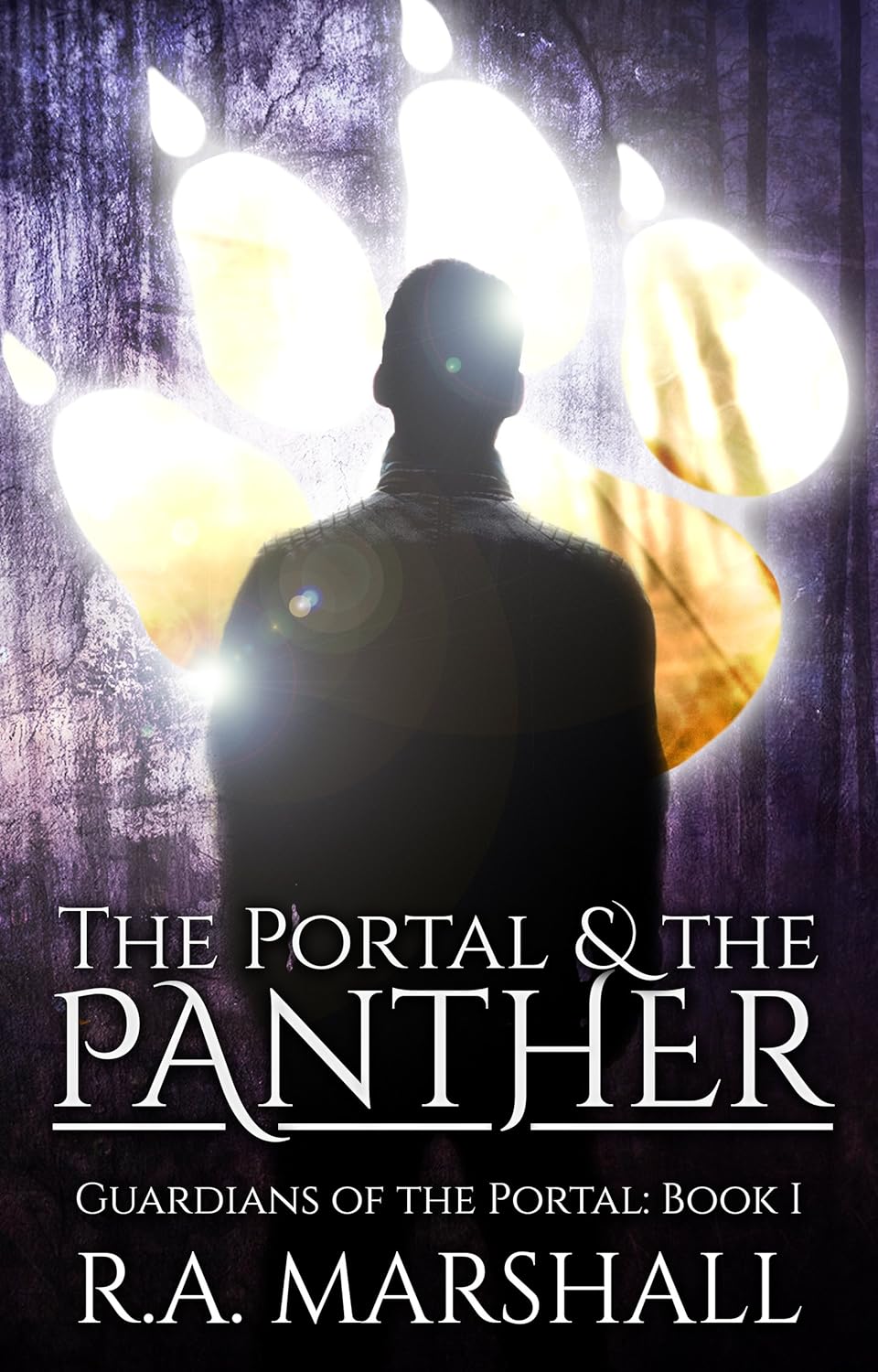 The Portal and the Panther (YA Fantasy Series, Guardians of the Portal ...
