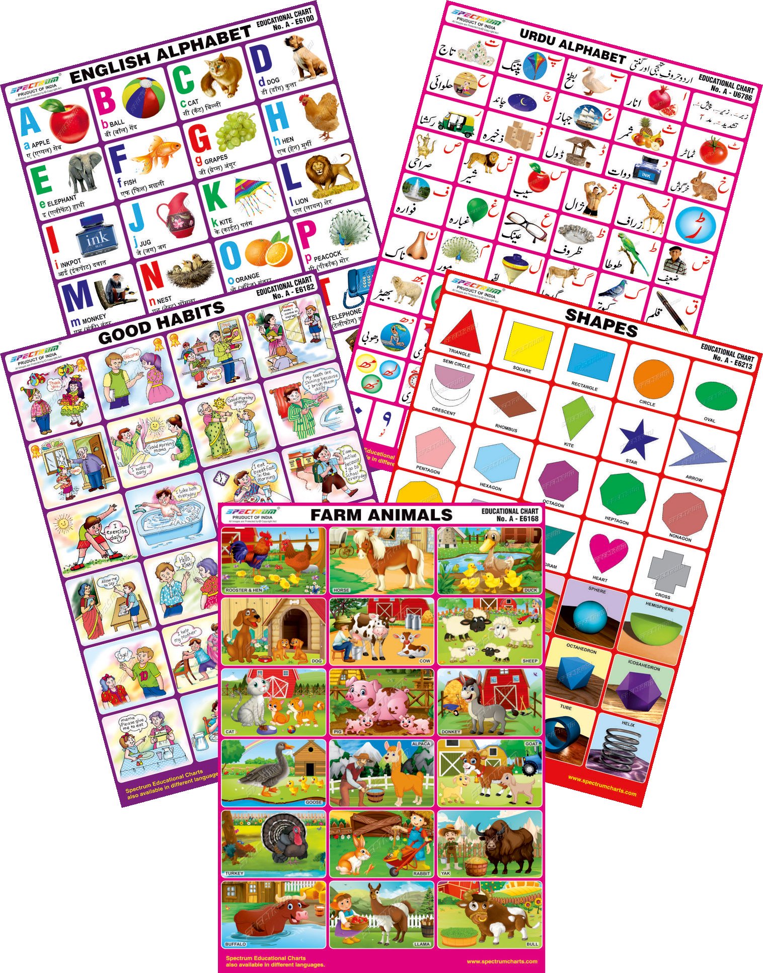 Buy Spectrum Mirror Coat Educational Charts (Set of 5) : Set 1 (English ...