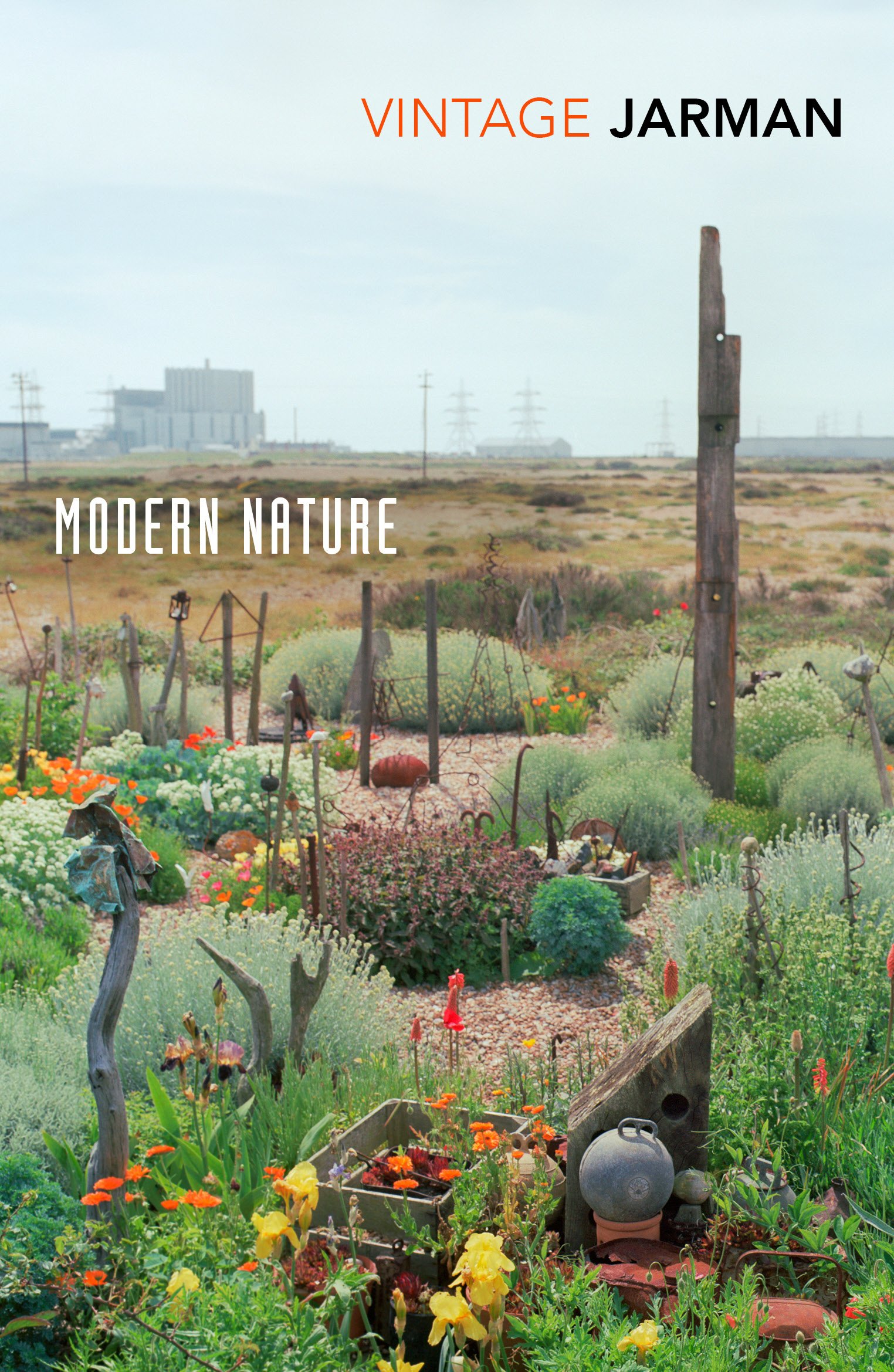 Modern Nature: Jarman, Derek: 9781784873875: Amazon.com: Books