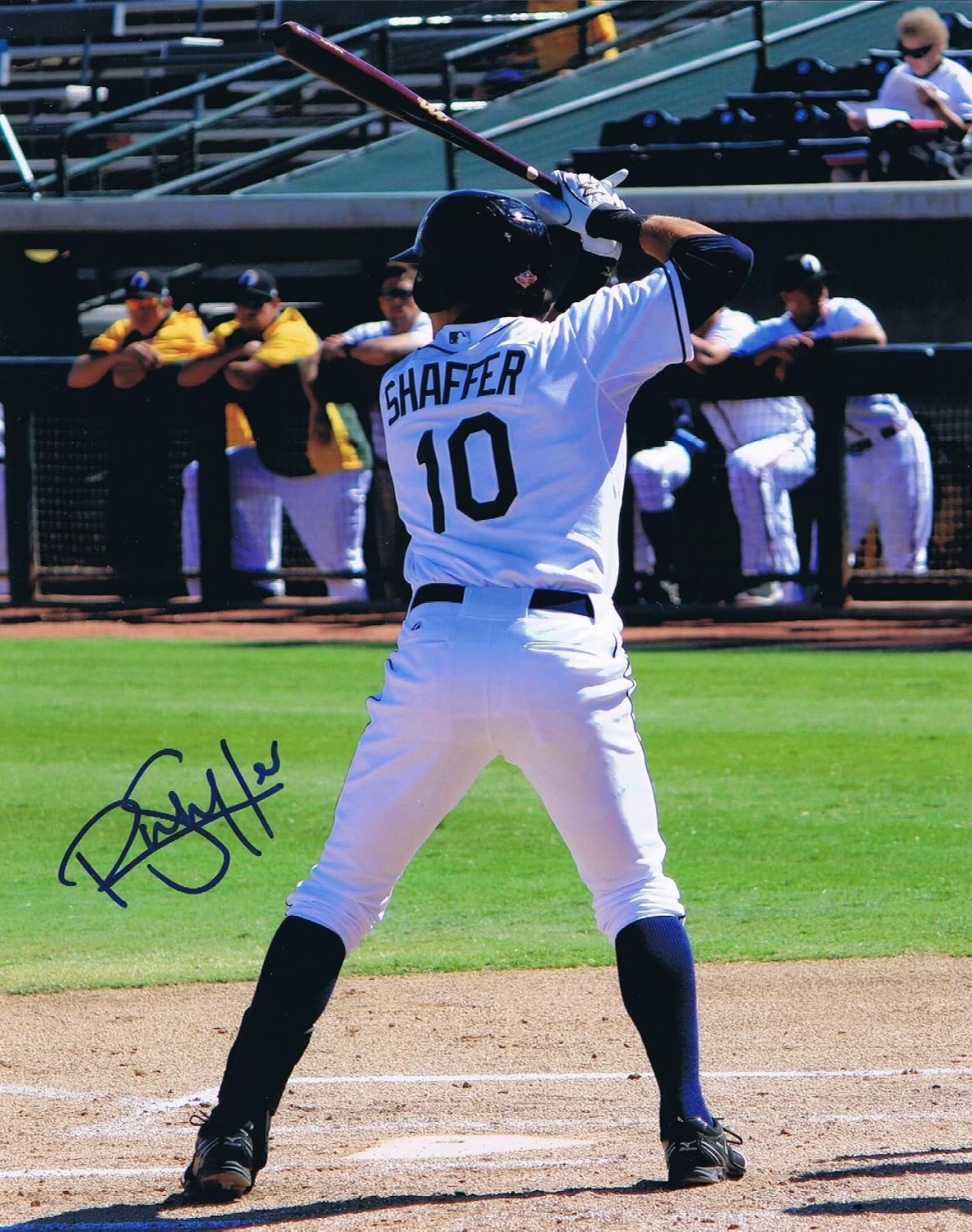 Richie Shaffer Signed 8x10 Picture Tampa Bay Rays Autograph COA at ...