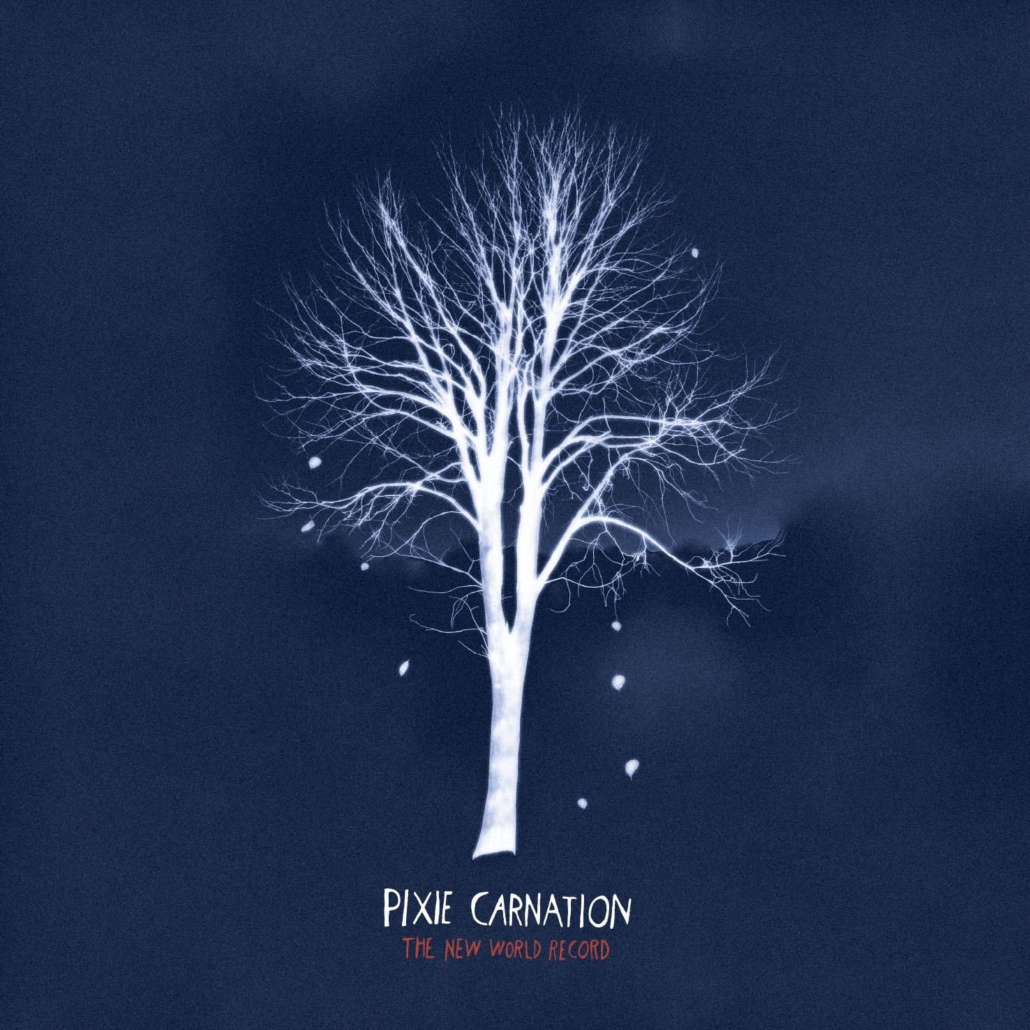 The New World Record [VINYL] by Pixie Carnation: Amazon.co.uk: CDs & Vinyl