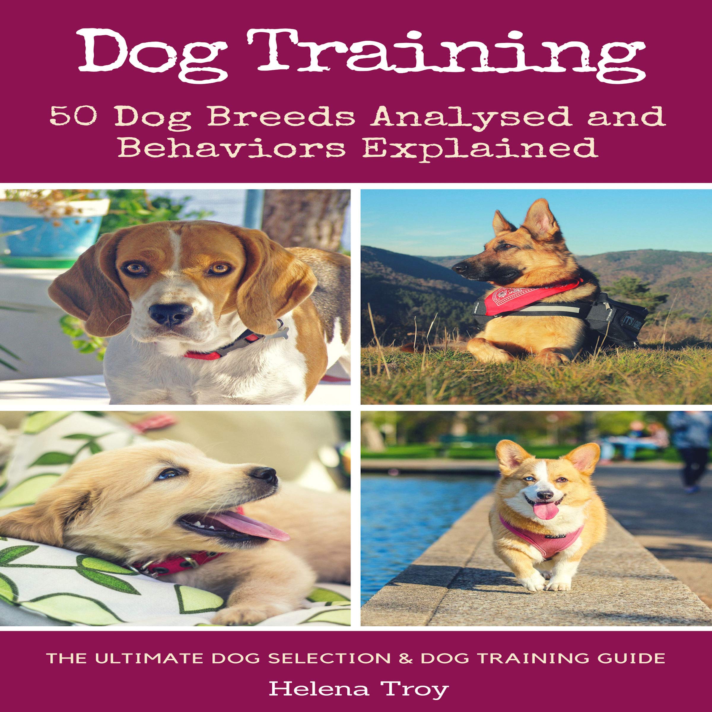 Buy Dog Training: 50 Dog Breeds Analysed and Behaviours Explained ...