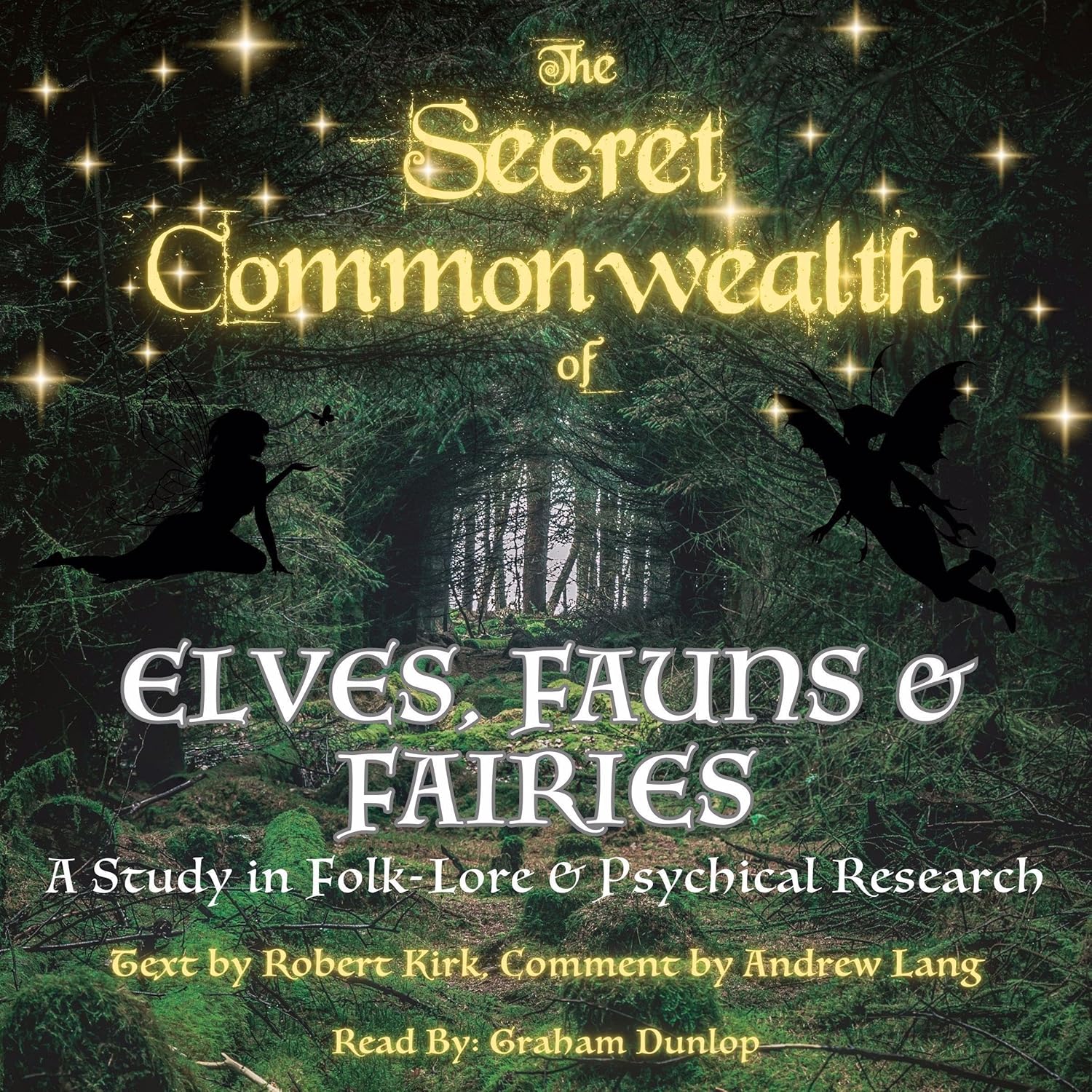 Amazon.com: The Secret Commonwealth of Elves, Fauns and Fairies: A ...