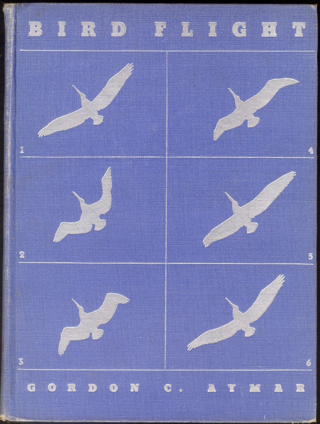 Bird Flight A Collection of 200 Action Photographs: Aymar, Gordon C ...