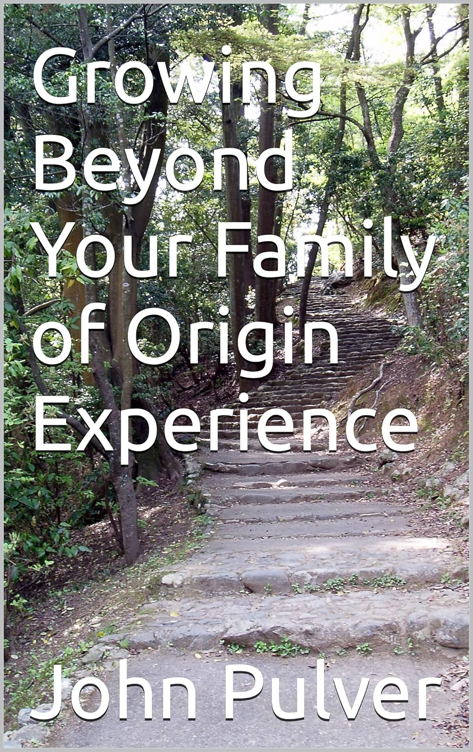 Growing Beyond Your Family of Origin Experience eBook : Pulver, John ...