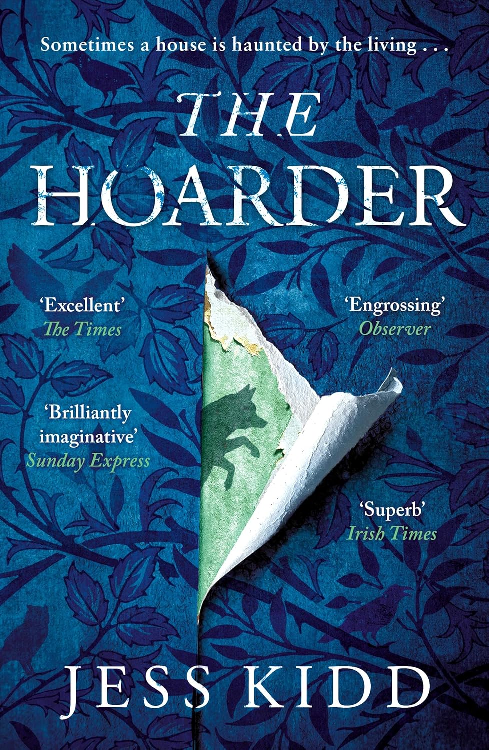 The Hoarder: Jess Kidd : Kidd, Jess: Amazon.co.uk: Books