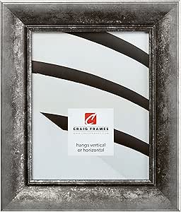 Amazon.com - Craig Frames Verandah 212, 14x18 Picture Frame, Aged Silver