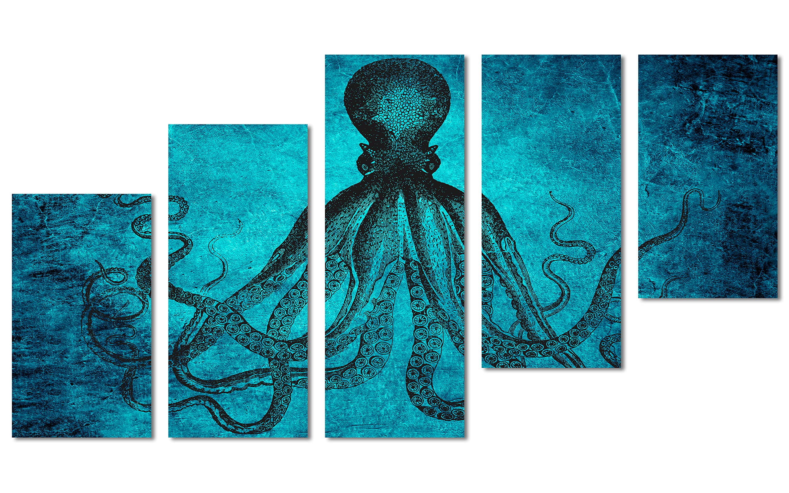 Pulpo 2560x1600