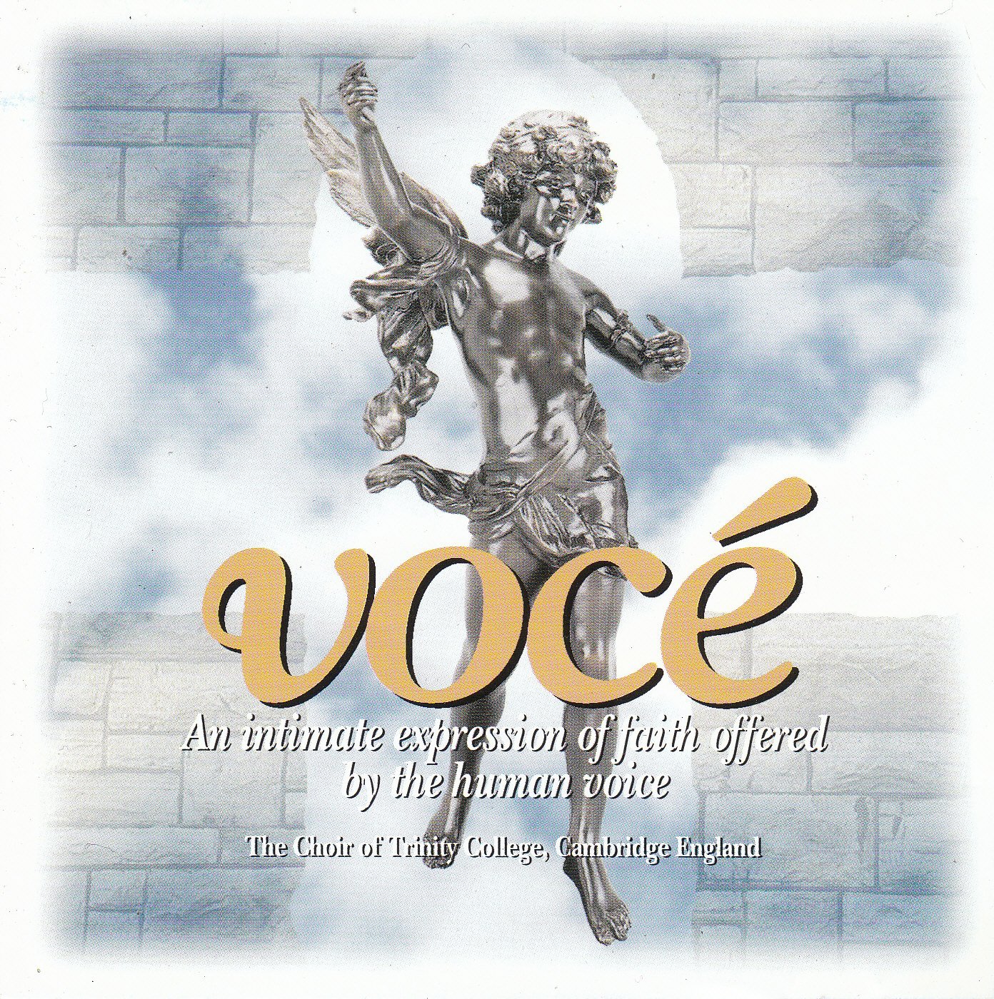 Voce: Amazon.co.uk: CDs & Vinyl