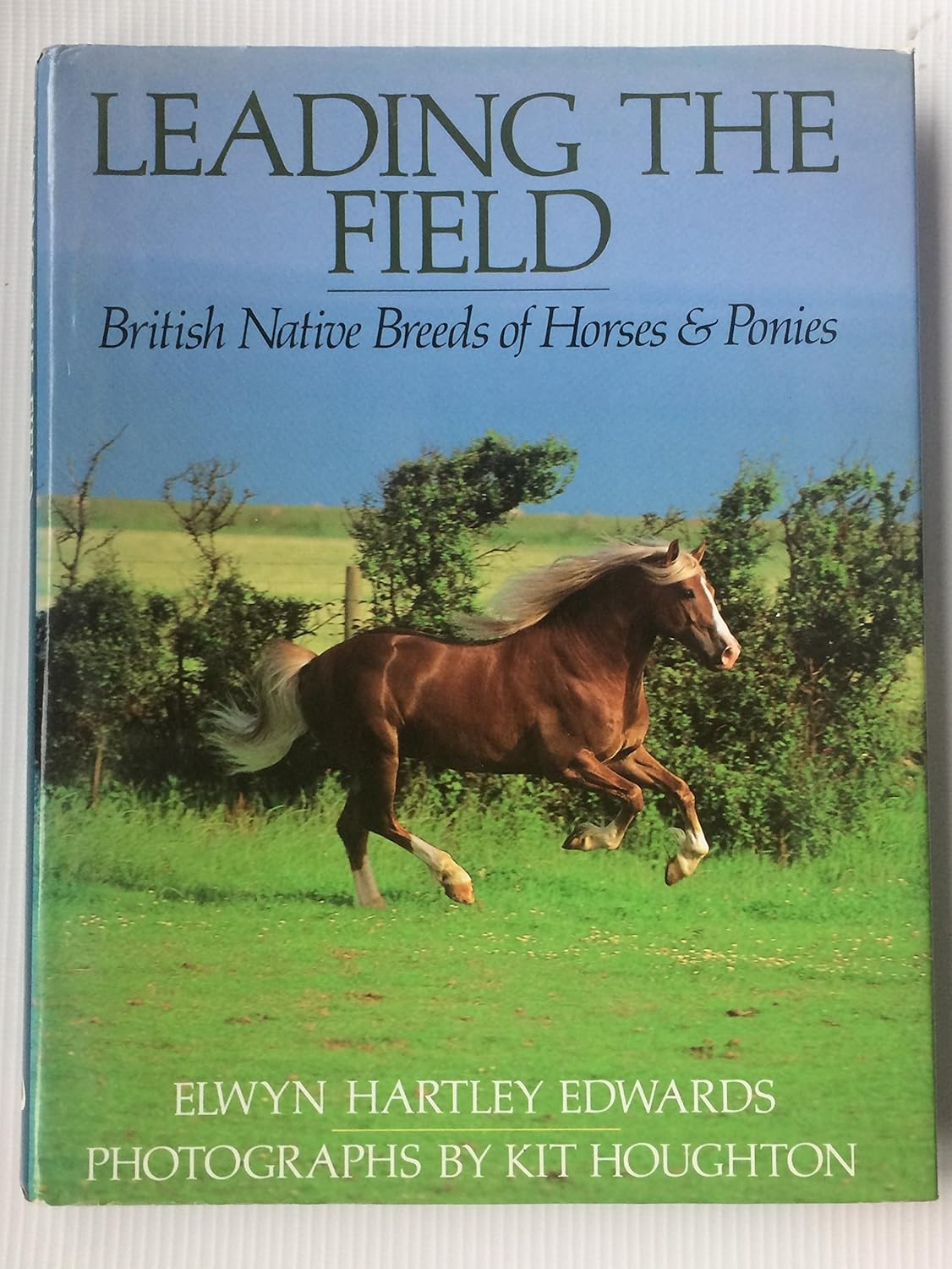 Leading the Field: British Native Breeds of Horses and Ponies: Amazon ...