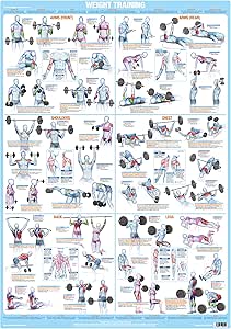 Série de tableaux d'exercices de musculation (format A1, tous les ...