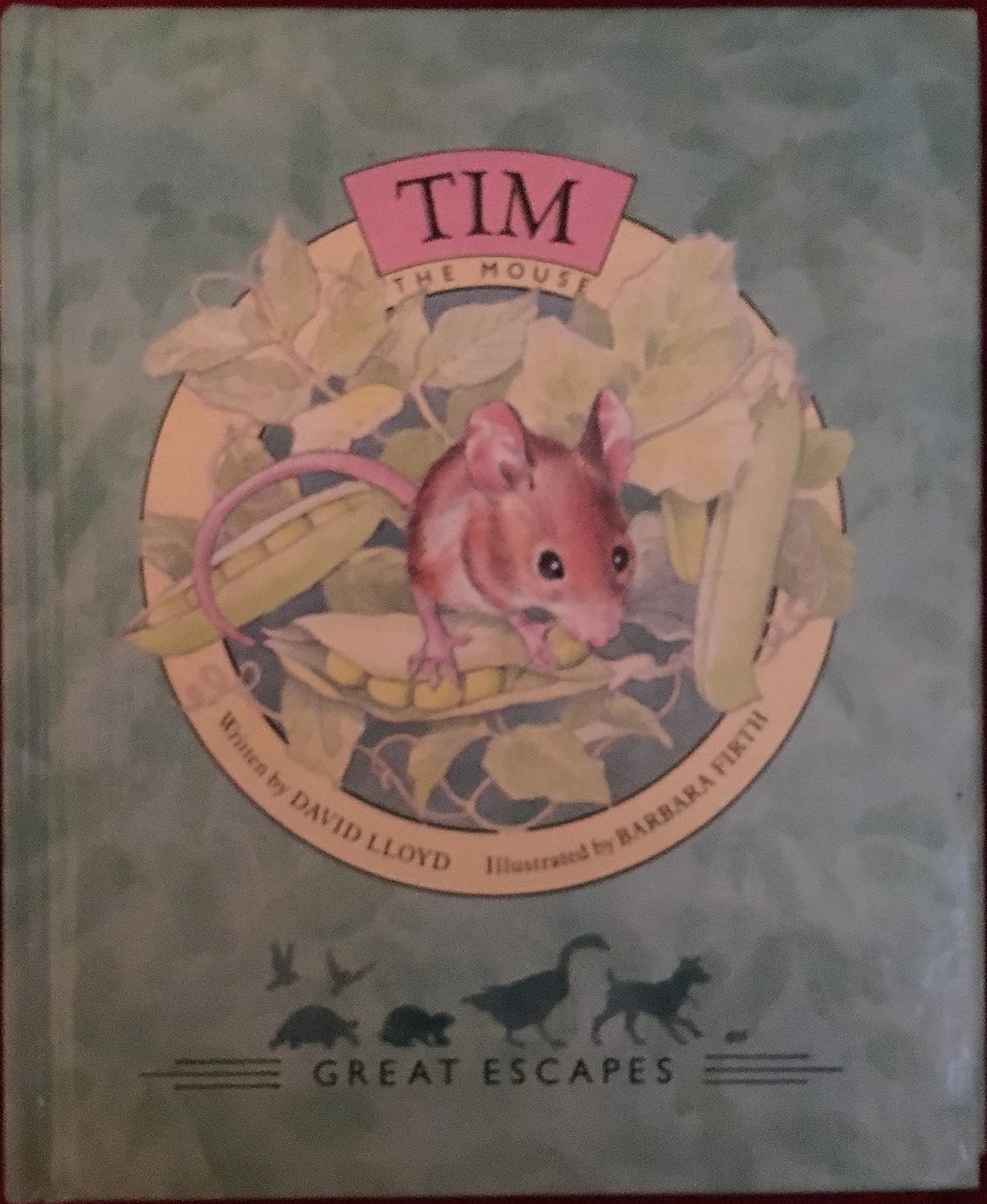 Tim the Mouse (Great Escapes): Lloyd, David: 9780590336468: Amazon.com ...