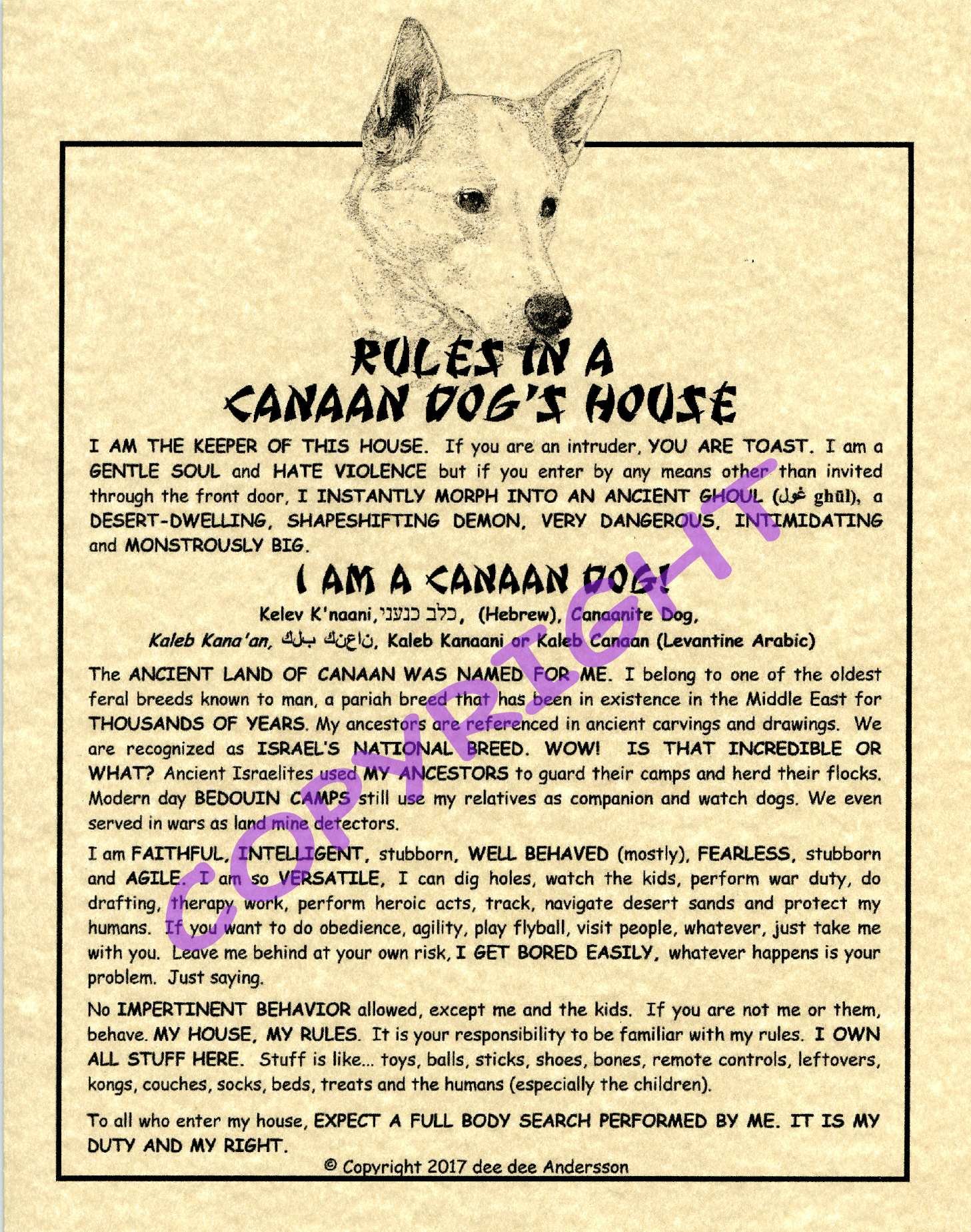 Que Tipo De Perro Es Canaan