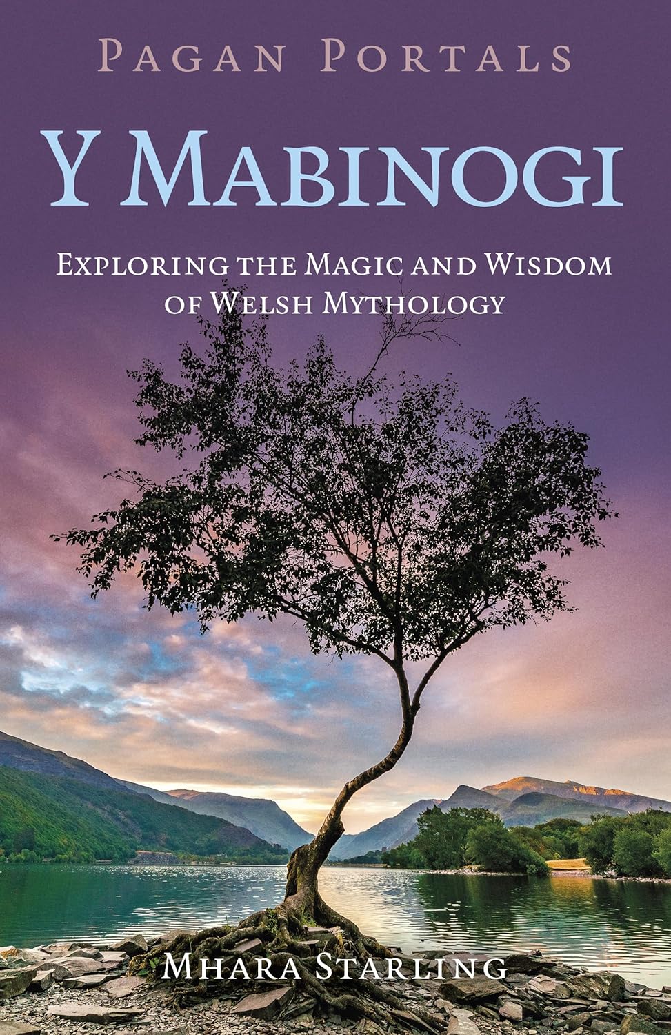 Pagan Portals: Y Mabinogi: Exploring the Magic and Wisdom of Welsh Mythology: Mhara Starling ...
