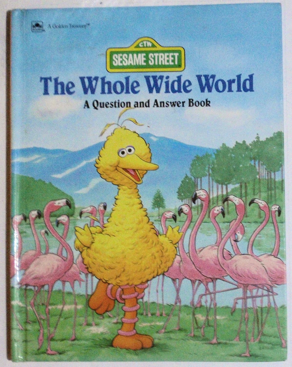 The Whole Wide World A Question and Answer Book: Rae Paige, Tom Cooke ...