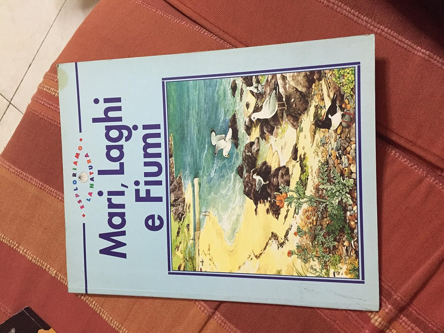 Mari, laghi e fiumi (Esploriamo la natura) : Chinery, Michael, Signori ...