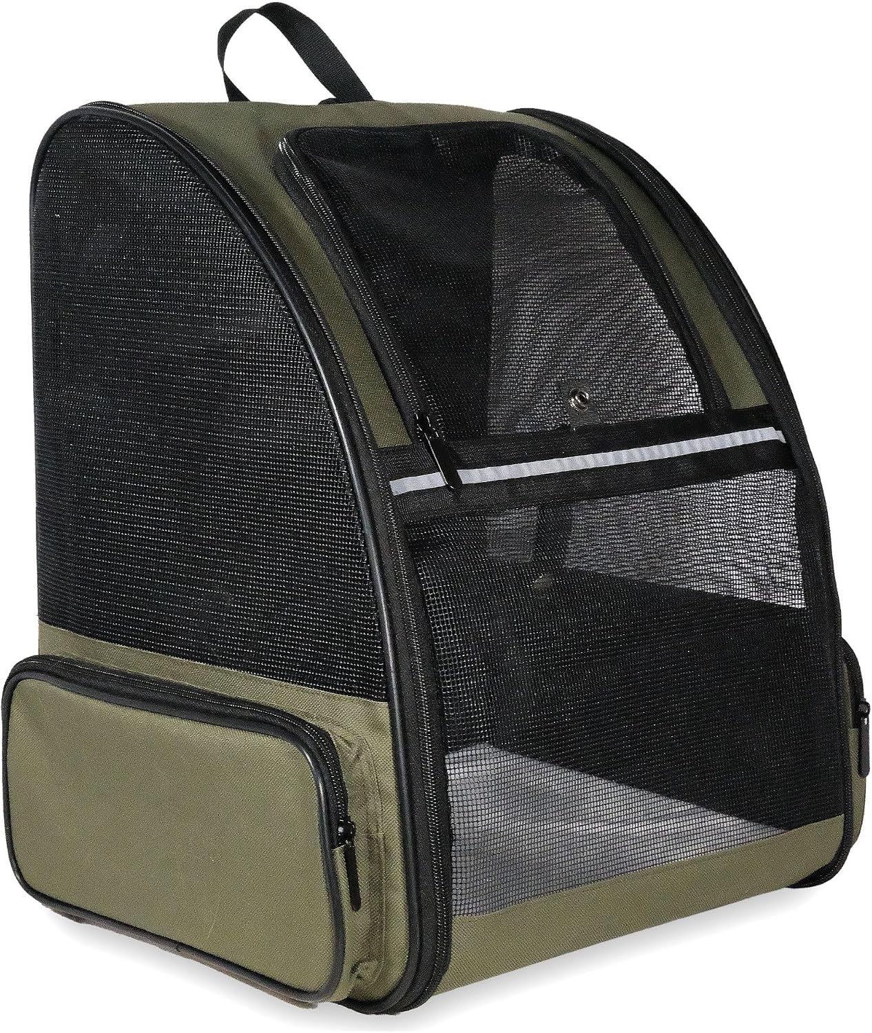 Amazon.com : Beyond Airline Approved Collapsible Pet Carrier Backpack ...