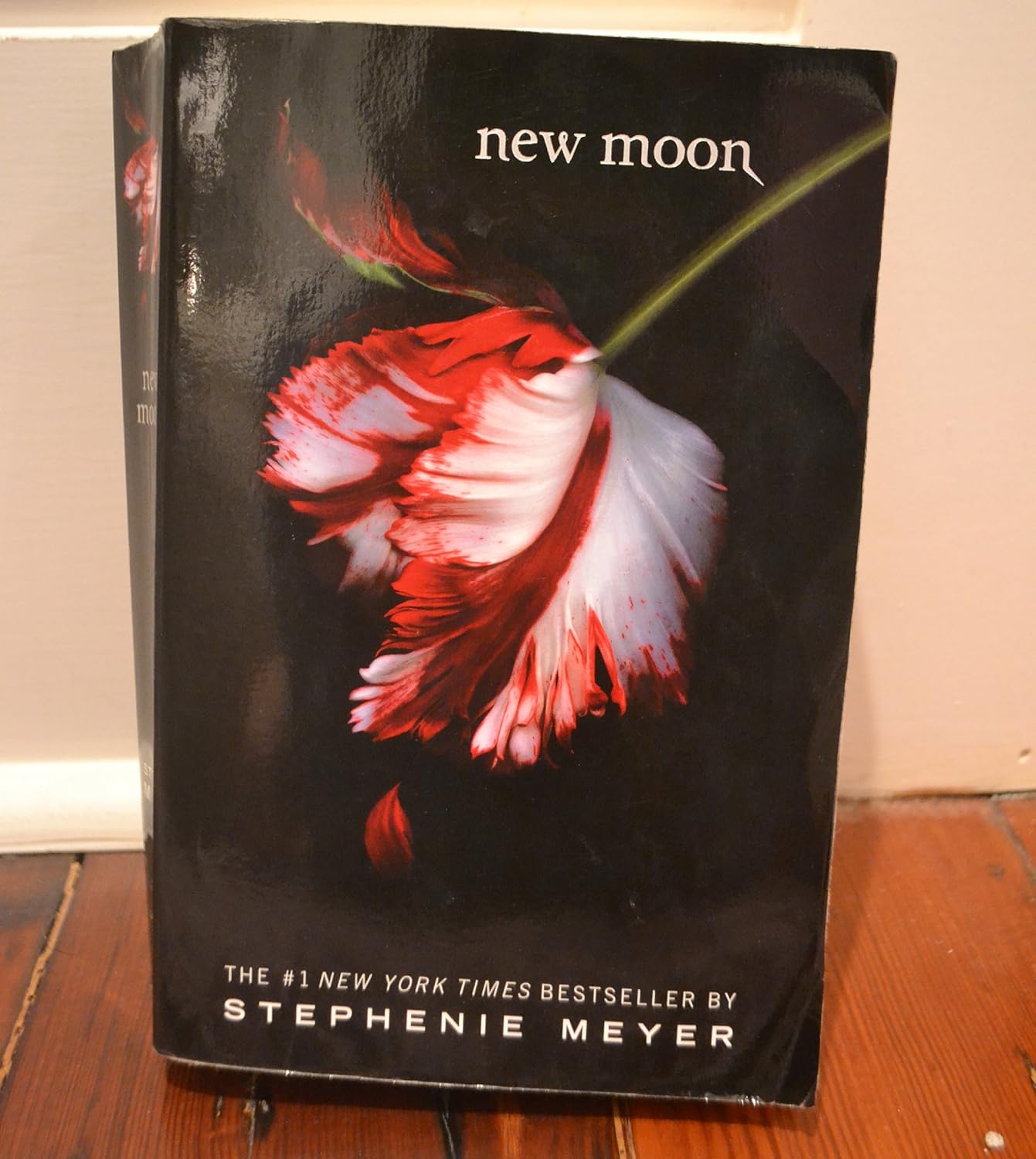 New Moon: Stephenie Meyer: 9780316036726: Amazon.com: Books