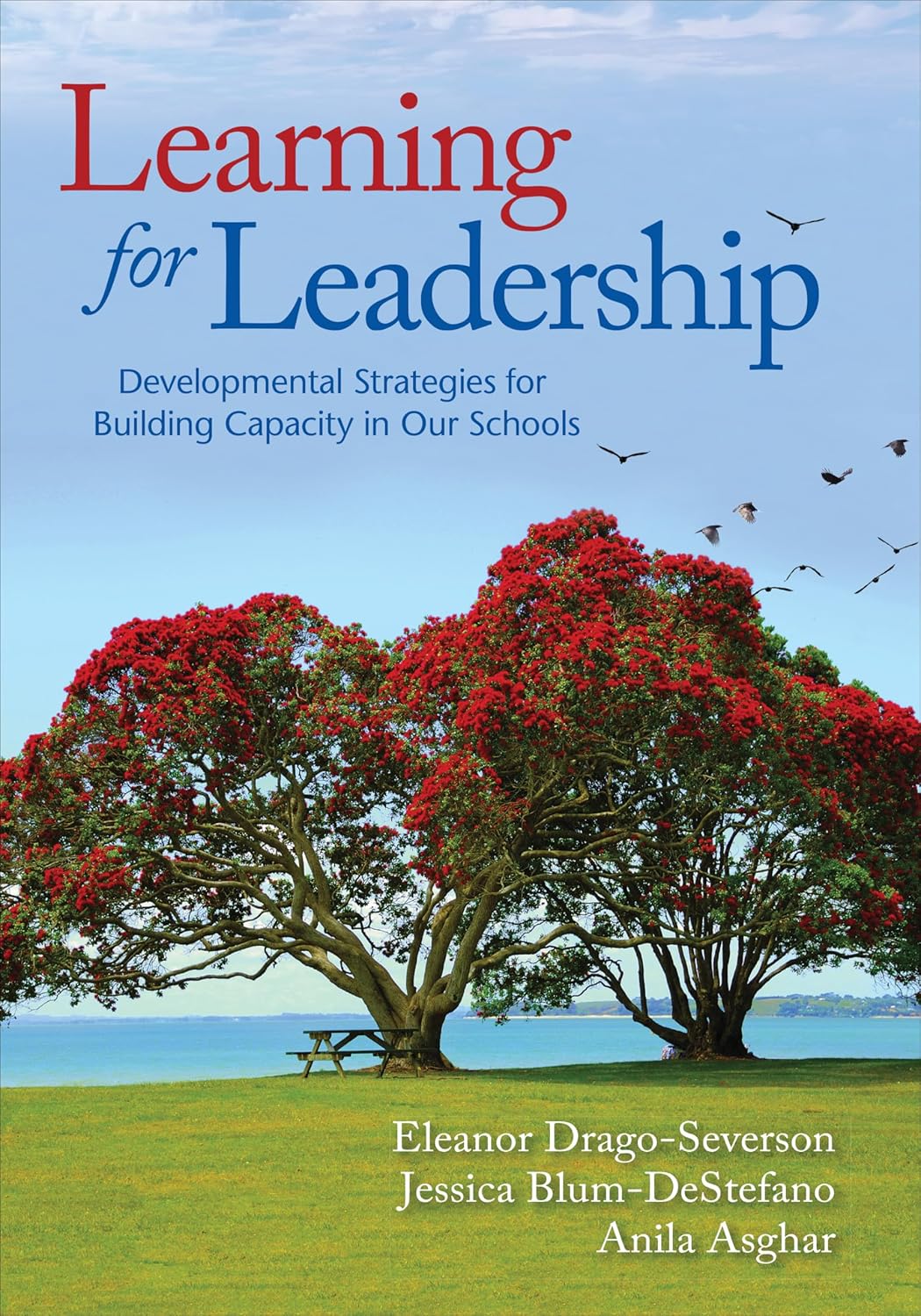 Learning for Leadership: Developmental Strategies for Building Capacity ...