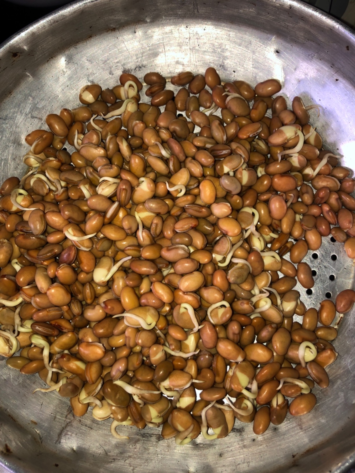 Konkan Foods Kadve Vaal