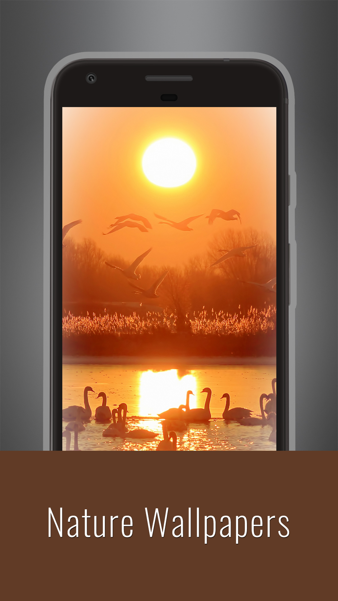 Nature Wallpapers - App on the Amazon Appstore