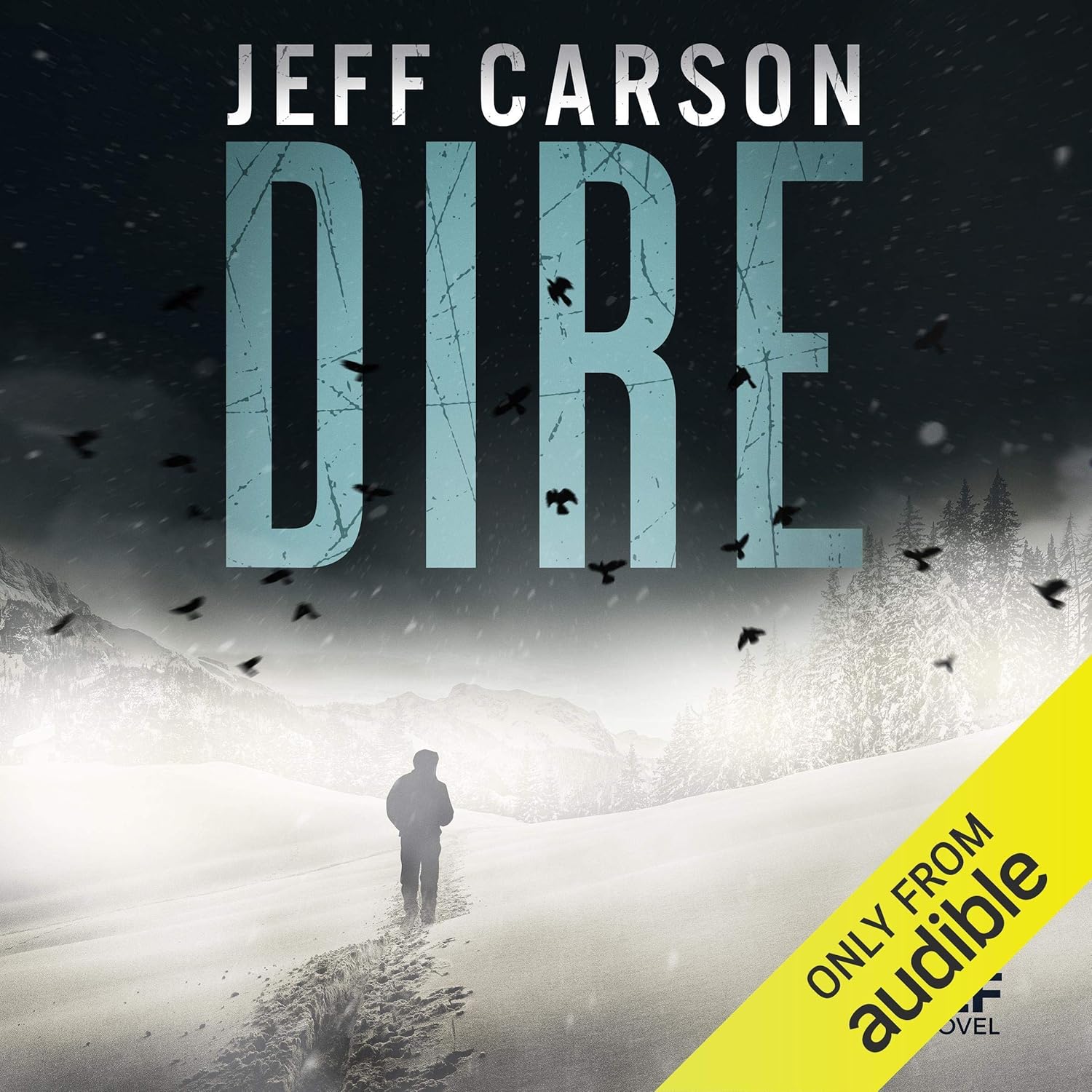 Amazon.com: Dire: David Wolf, Volume 8 (Audible Audio Edition): Jeff ...