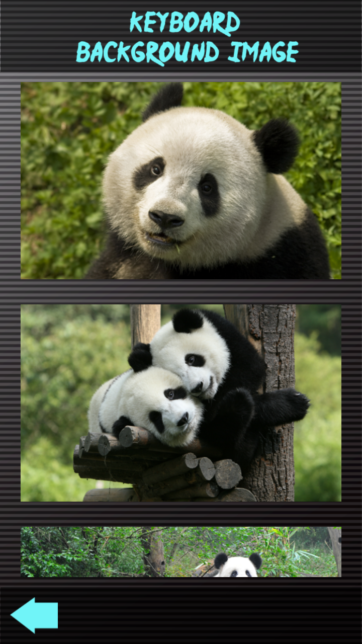 Awesome Panda Keyboards - App on Amazon Appstore