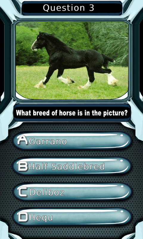My Horse & Pony Breeds Quiz HD - App on Amazon Appstore