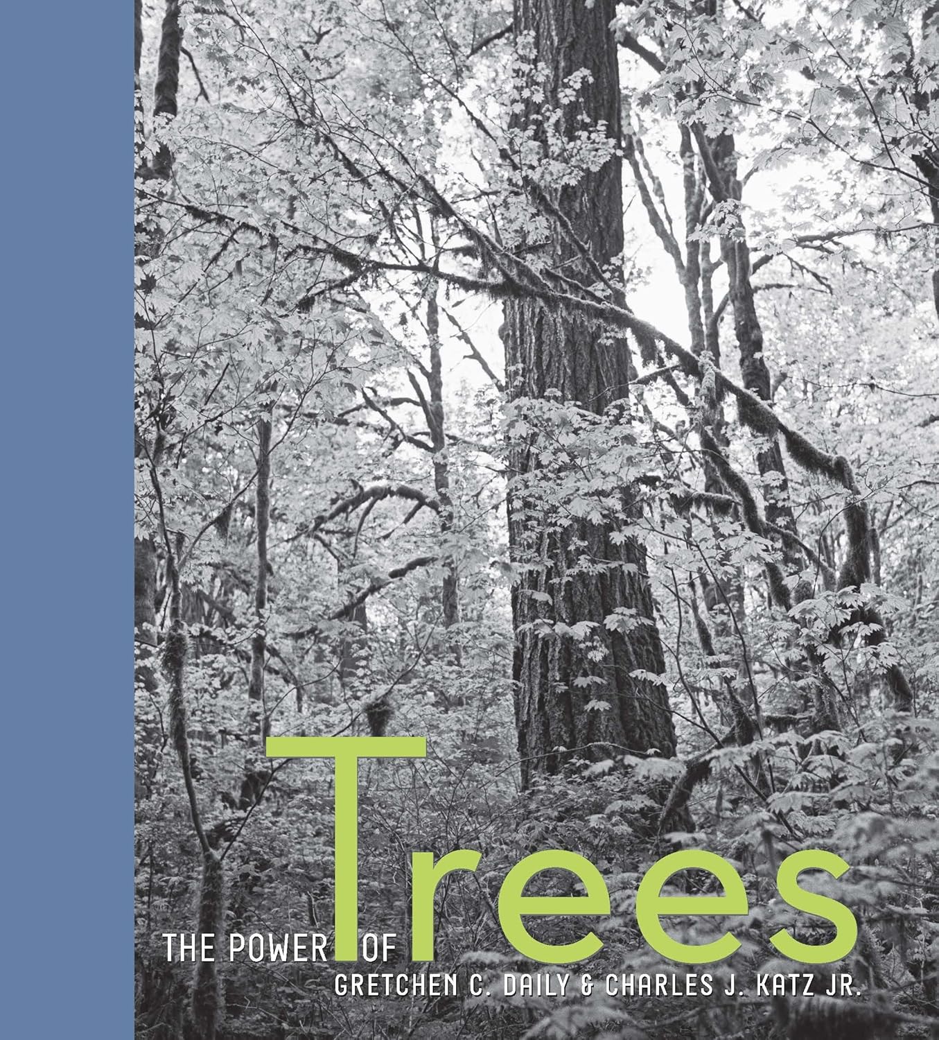 Amazon.com: The Power of Trees: 9781595341327: Katz, Charles, Daily ...