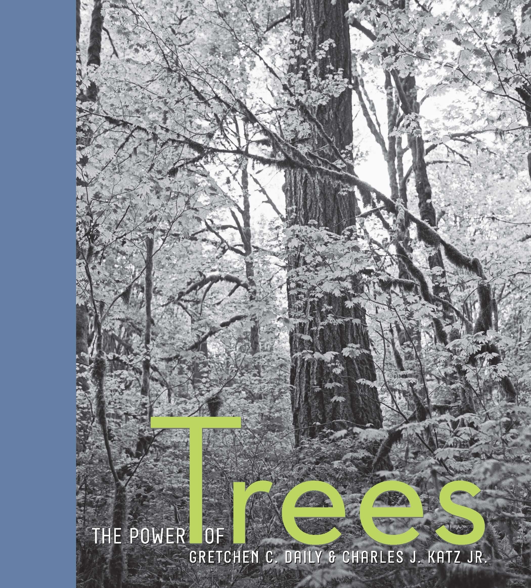 Amazon.com: The Power of Trees: 9781595341327: Katz, Charles, Daily ...