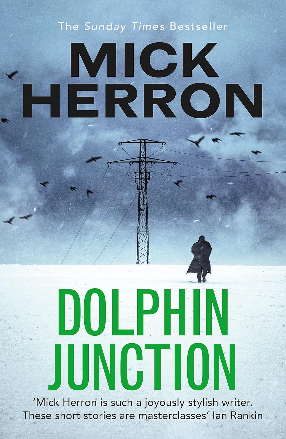 Dolphin Junction: Mick Herron: 9781529371284: Amazon.com: Books