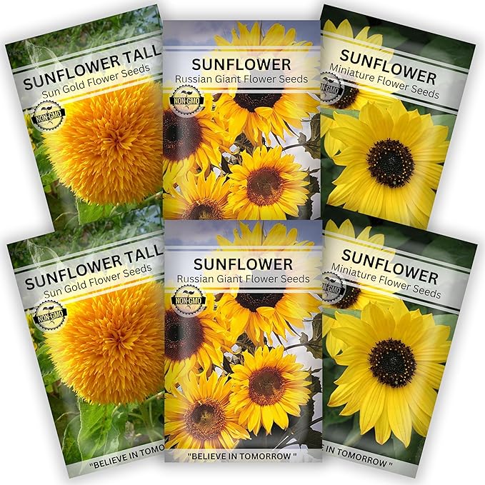 Summer Flower Seeds Combo for Home Gardening, Backyard & planting ...