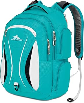 Amazon.com | High Sierra Vex Backpack, Tropic Teal, 19 x 12.5 x 8.5 ...