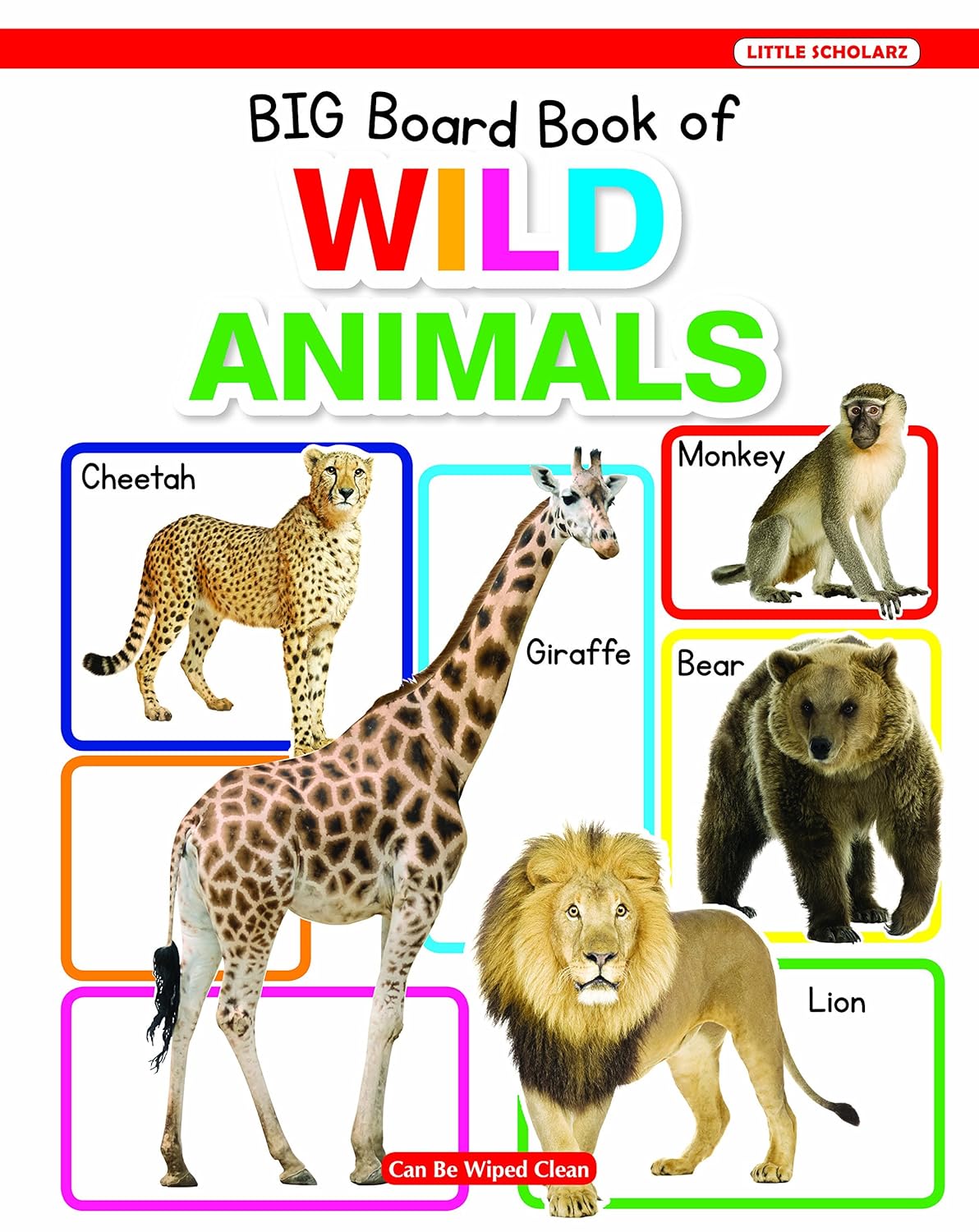 New Big Board Book Of Wild Animals: LSPL Team: 9789384376475: Amazon ...