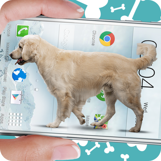 Dog on screen: Woof woof joke - App on Amazon Appstore