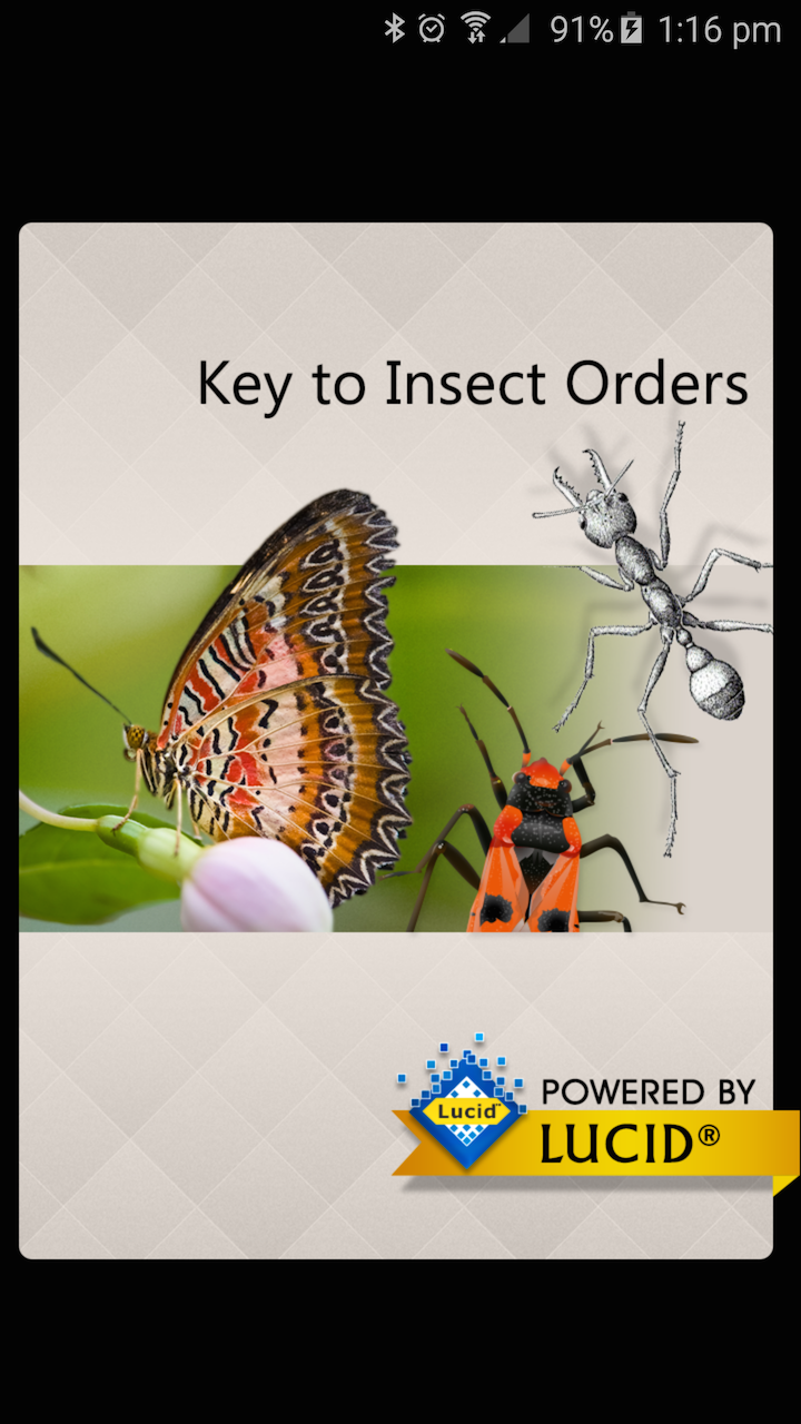 Key to Insect Orders - App on Amazon Appstore