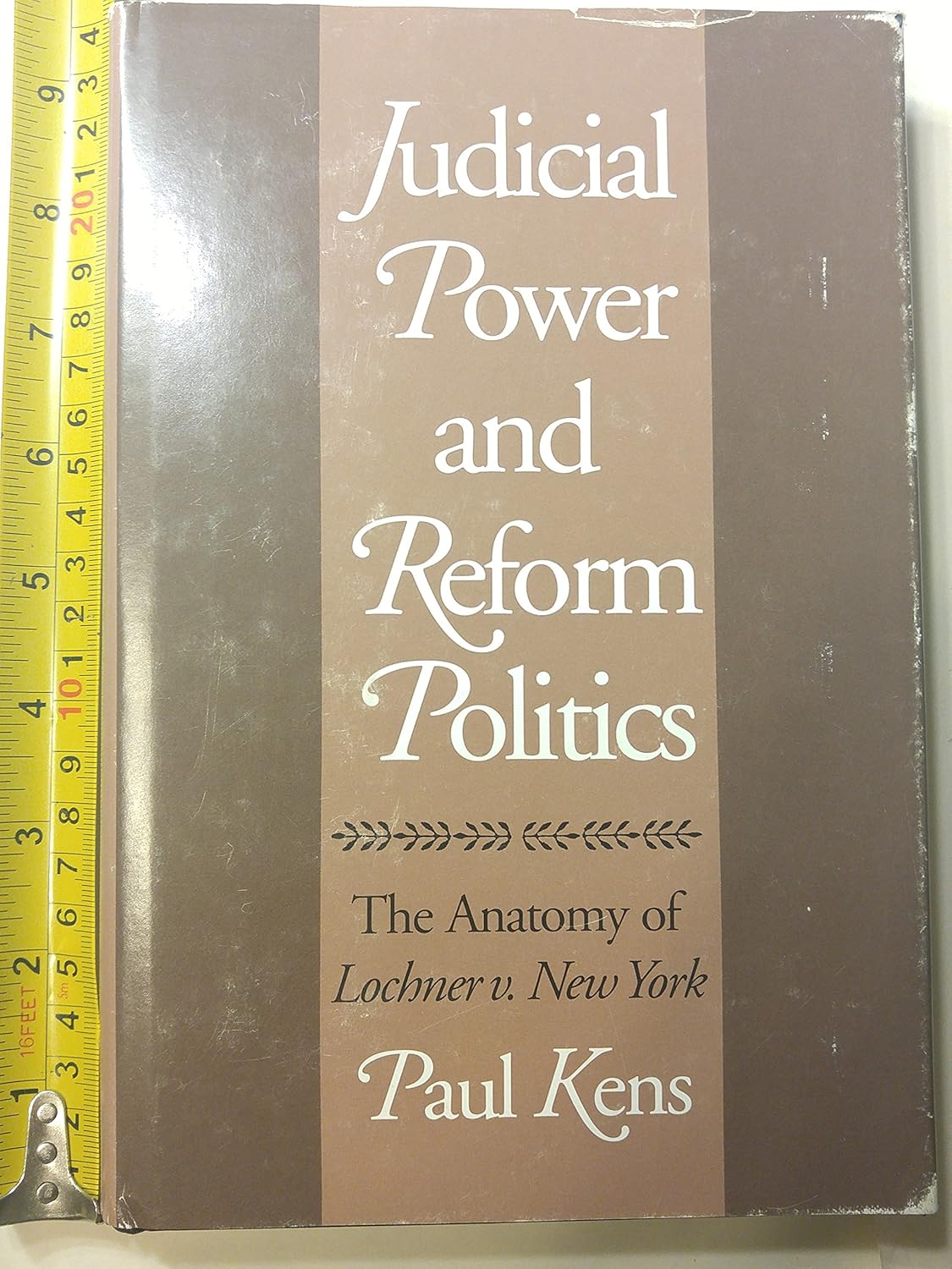 Judicial Power and Reform Politics: The Anatomy of Lochner V. New York ...