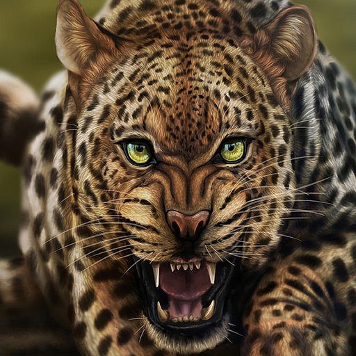 Life Of Leopard - App on Amazon Appstore