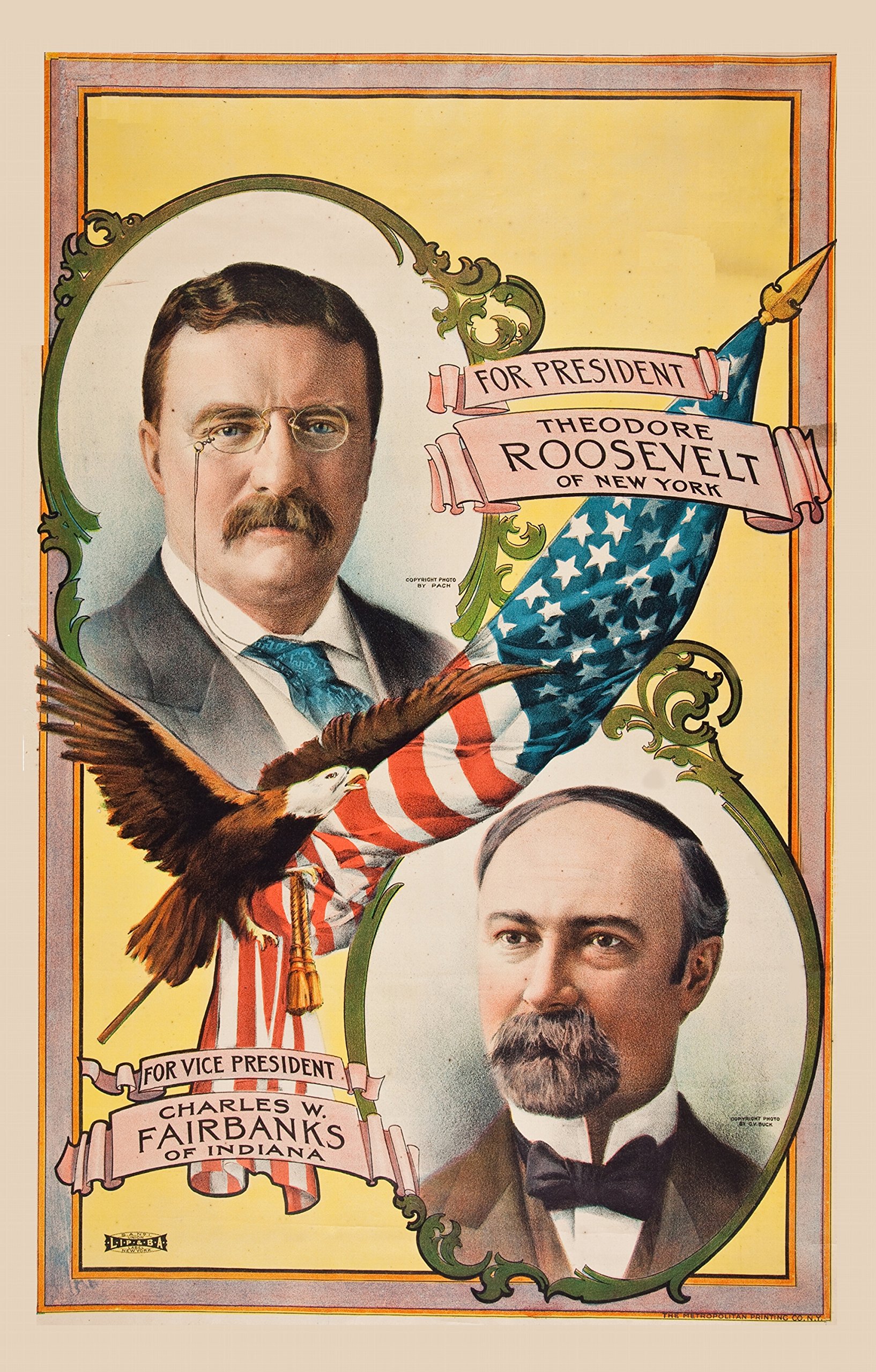 Teddy Roosevelt Campaign