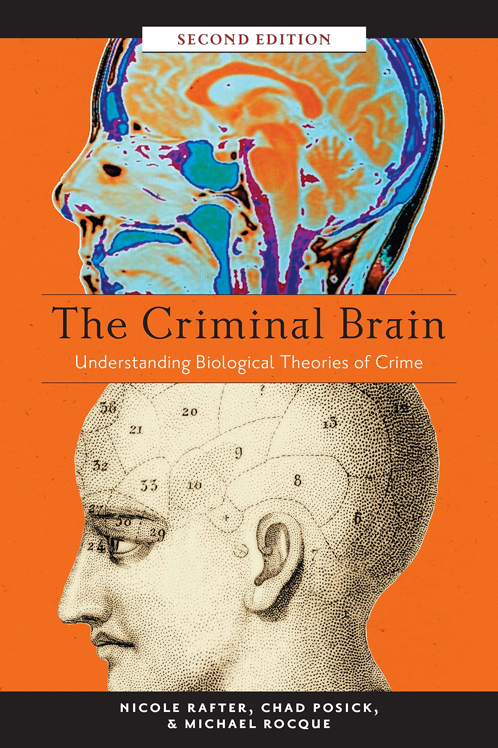 Amazon.com: The Criminal Brain, Second Edition: Understanding ...