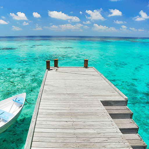 High Quality Wallpapers - App on Amazon Appstore