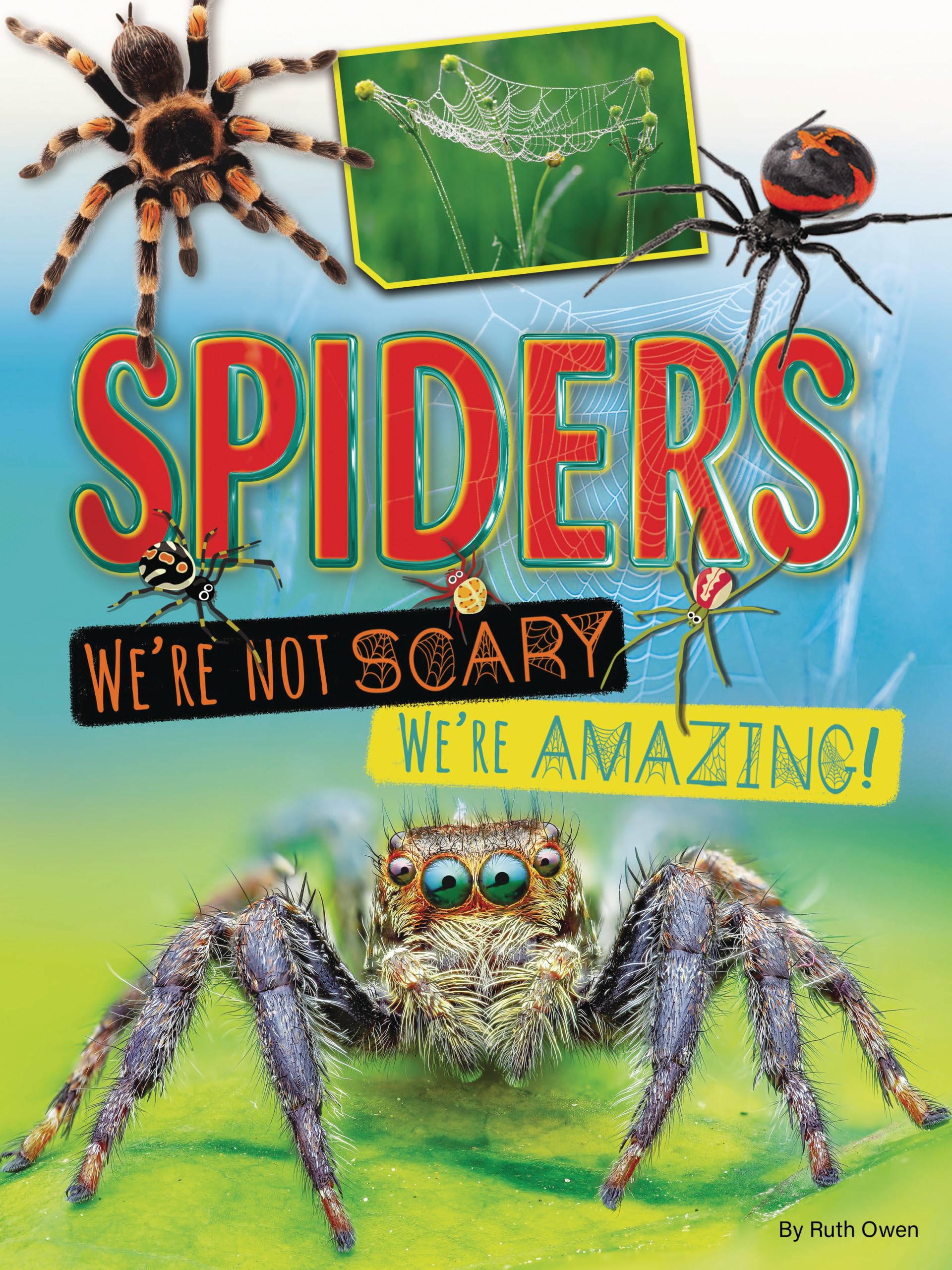 Spiders: We're Not Scary ― We're Amazing!: Owen, Ruth: 9781788562874 ...