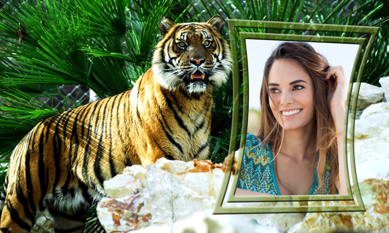 Tiger Photo Frames - App on Amazon Appstore